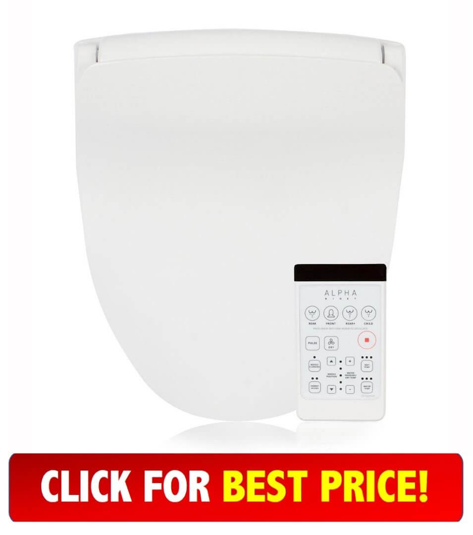 Best Bidet Toilet Seat With Warm Water And Warm Air Dryer